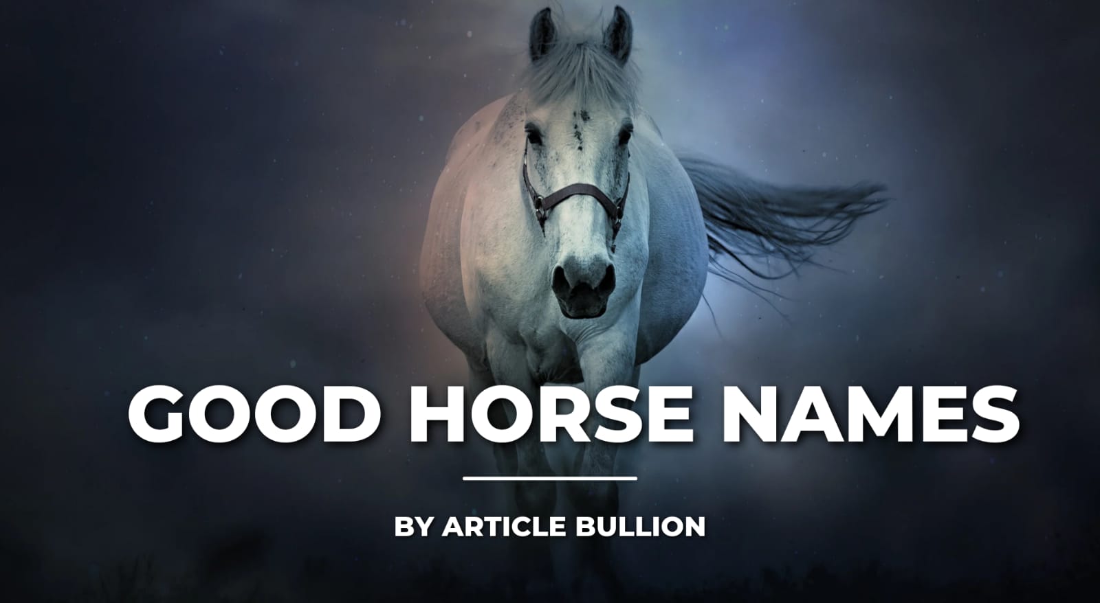 Good Horse Names: Epic Names for Your Legendary Steed! - Article Bullion