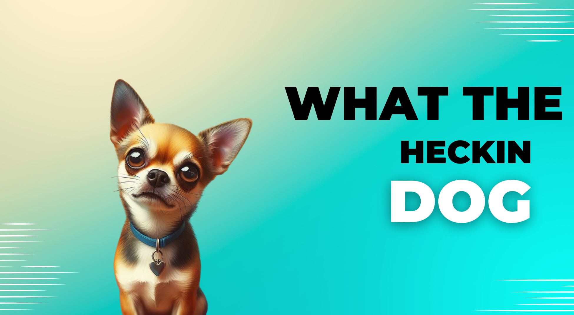 What the Heckin Dog?" – Unraveling the Mystery of Doggo Delight ...